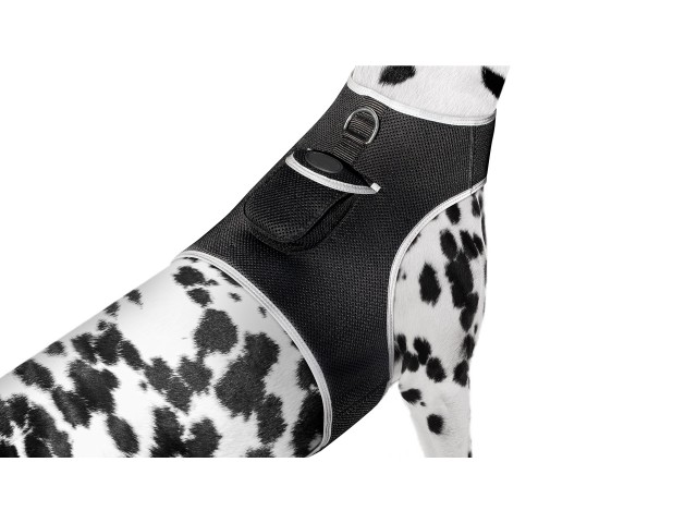 iTrackPET - GPS Pet Tracking Harness