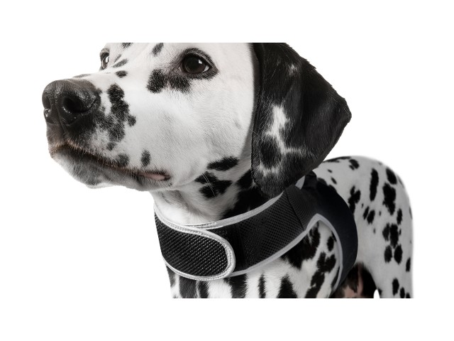 iTrackPET - GPS Pet Tracking Harness