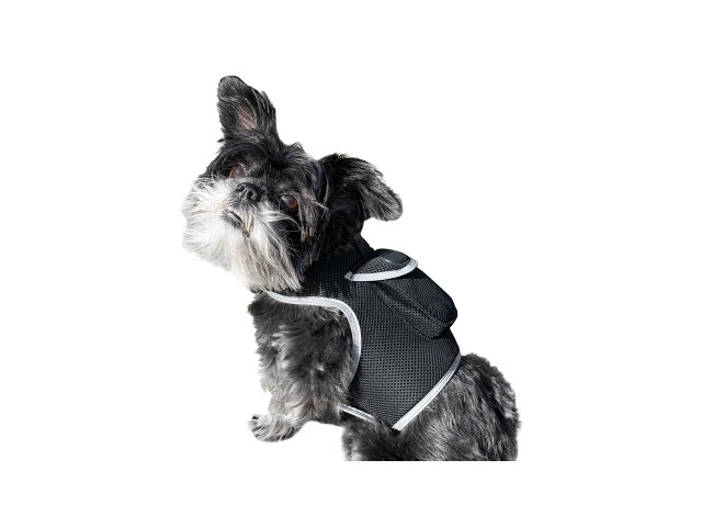 iTrackPET - GPS Pet Tracking Harness