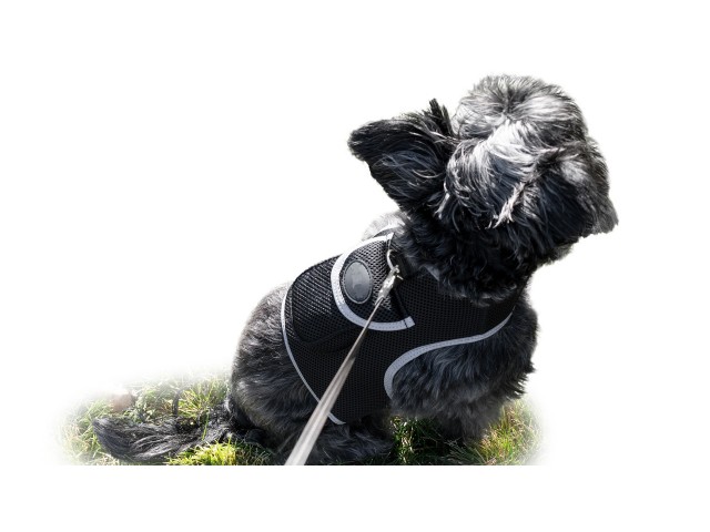 iTrackPET - GPS Pet Tracking Harness