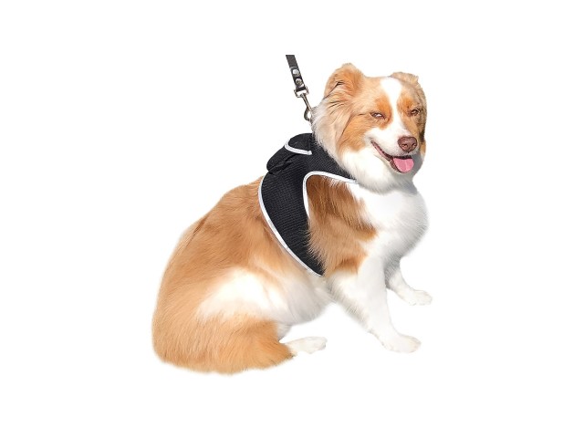 iTrackPET - GPS Pet Tracking Harness